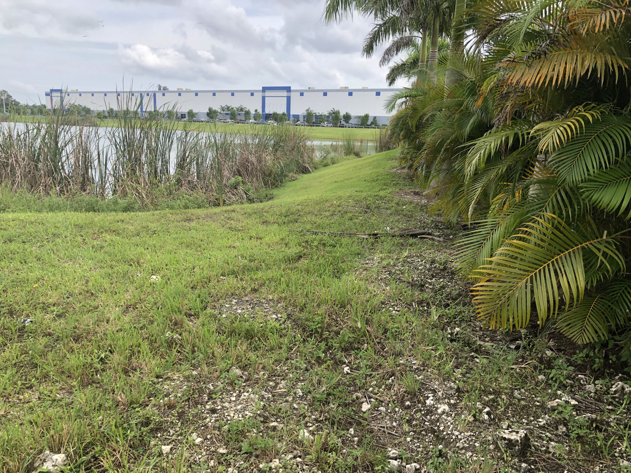 Florida Brownfields Program Remediation | Apex Companies