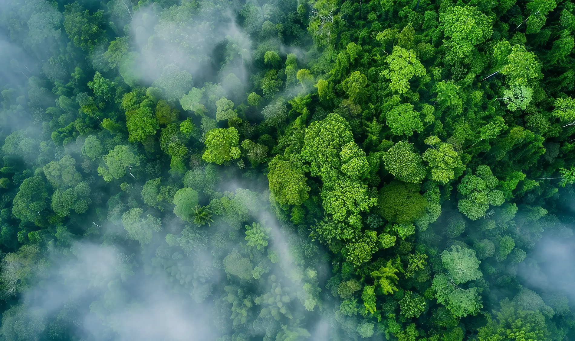 Greenhous Gas Data Verification | Apex Companies