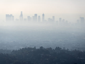 A Timeline of Major US Environmental Milestones | Apex Companies