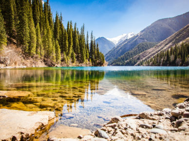 A Timeline of Major US Environmental Milestones | Apex Companies