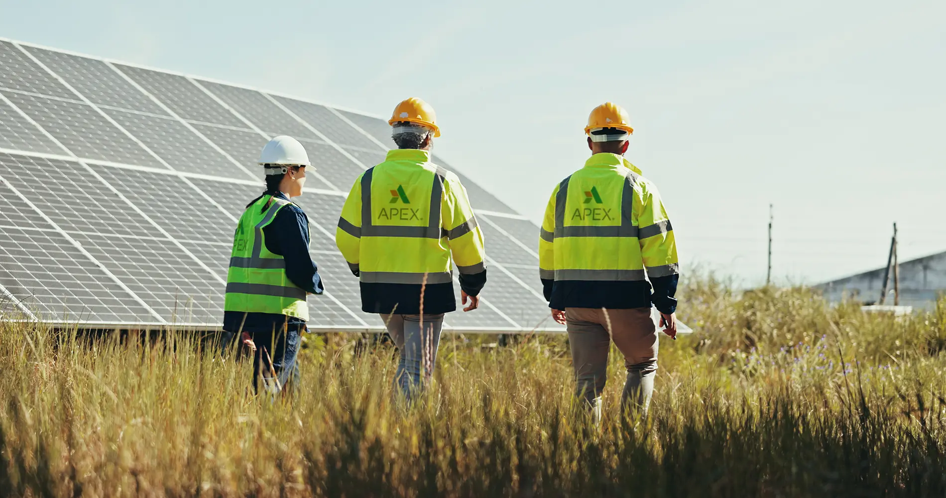 Who We Are | Apex Companies